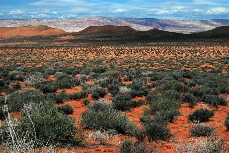 Scenic Desert Mesa stock photo. Image of bush, butte, dusty - 9209252