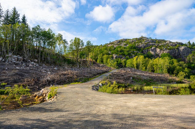 Scenic Dirt Road through Forested Hillside.. Stock Photo - Image of ...