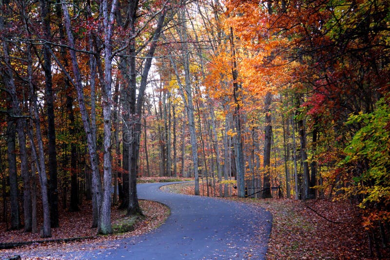 Scenic drive stock photo. Image of road, outside, maple - 26774192