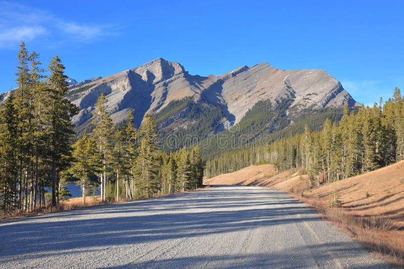 Scenic drive stock photo. Image of north, morn, alberta - 7320488