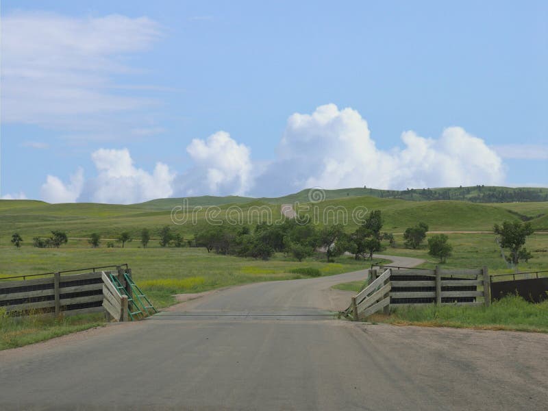Wildlife Loop at Custer State Park, South Dakota Stock Image - Image of ...