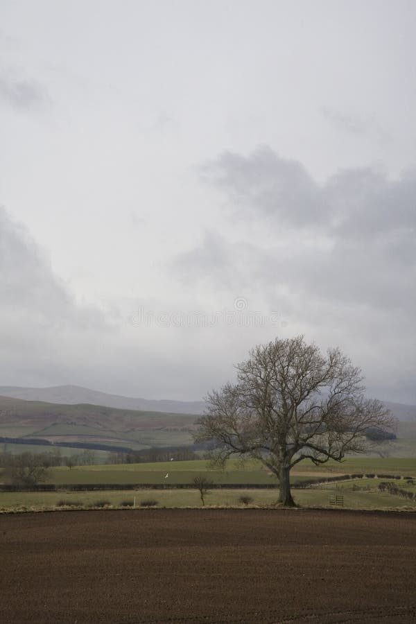 Scenic English countryside stock image. Image of english - 4804719
