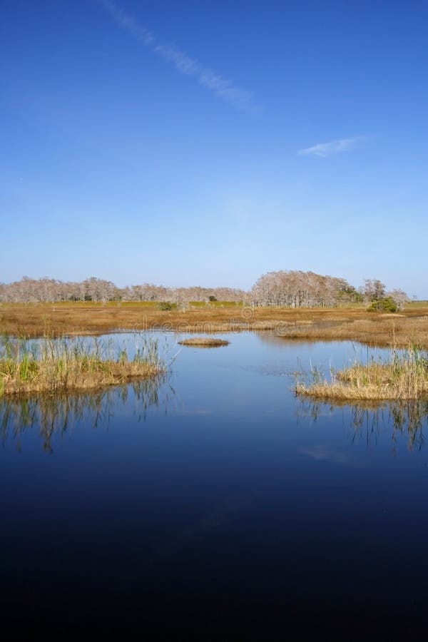 Scenic Everglades stock photo. Image of water, outdoors - 17802248