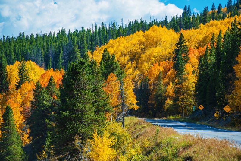 Fall in Colorado stock photo. Image of scrub, countryside - 35166262