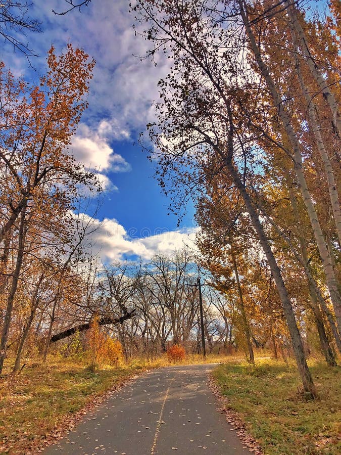 Scenic Fall Treelined Path stock photo. Image of shadows - 161647196