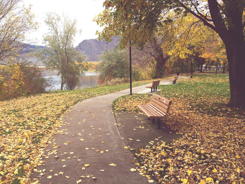 Scenic Fall Walk at the Park Stock Photo - Image of park, walk: 79619758