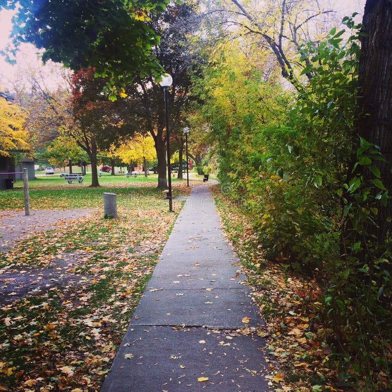 Scenic Fall Walk at the Park Stock Image - Image of spring, scenic ...