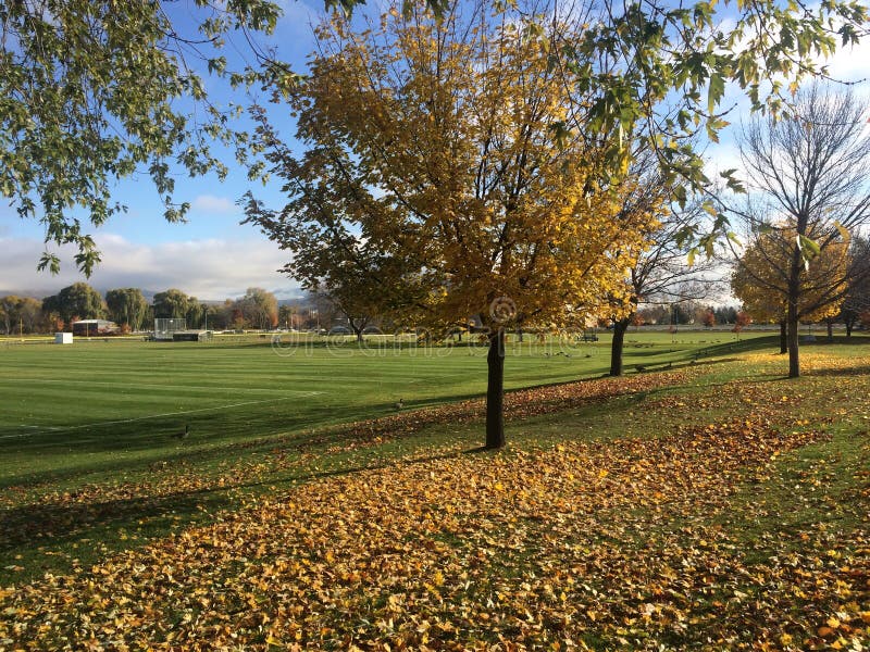 Scenic Fall Walk at the Park Stock Photo - Image of wilderness, fall ...