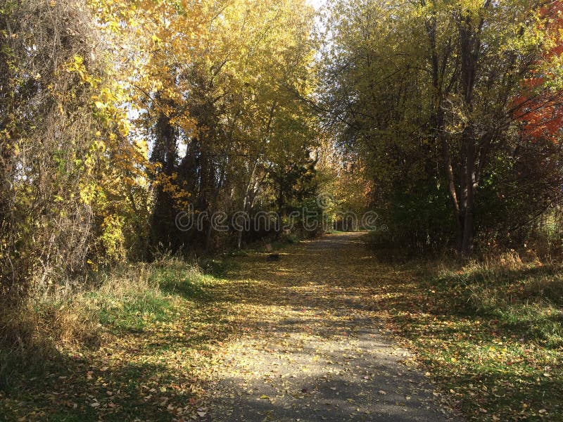 Scenic Fall Walk at the Park Stock Image - Image of scenic, leaf: 79620201