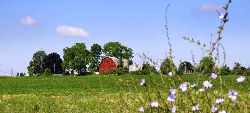 Scenic farm landscape stock photo. Image of rural, spring - 20964854