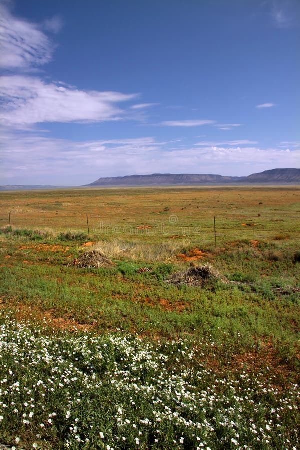 Flat Lands and Open Fields in Montana. Stock Photo - Image of barren ...