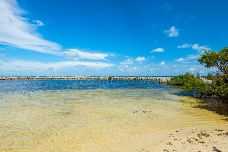 Scenic Florida Keys stock photo. Image of shore, relaxation - 124212268