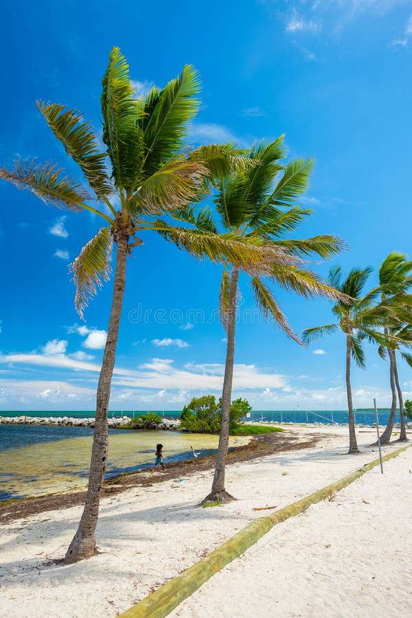 Scenic Florida Keys editorial image. Image of gulf, landscape - 124212270