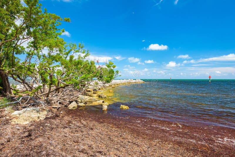 Scenic Florida Keys stock image. Image of nature, clouds - 124212339