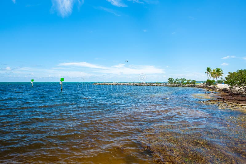 Scenic Florida Keys stock photo. Image of seaweed, blue - 124212396