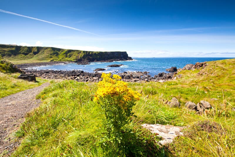 Scenic Footpath. Giant S Causeway. Stock Image - Image of horizontal ...