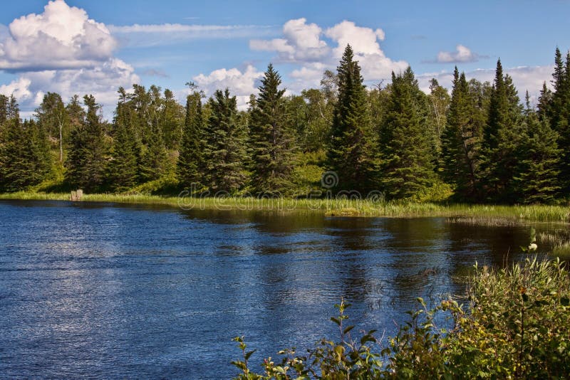 Scenic forest stock image. Image of tranquil, scenic - 16784457