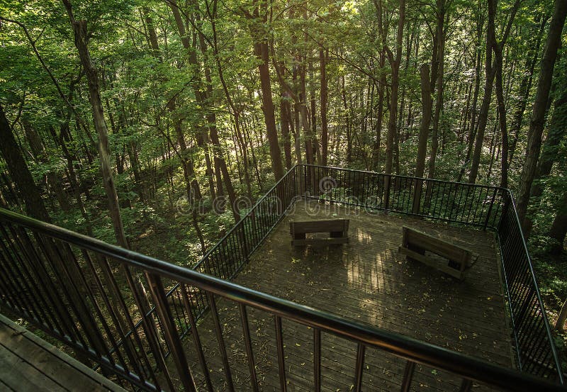 A Scenic Forest Overlook stock photo. Image of light - 126811864