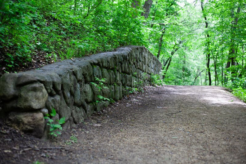 Scenic Forest Path with a Stone Retaining Wall Surrounded by Lush Green ...