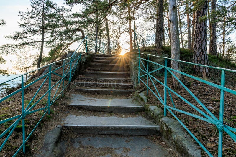 Scenic Forest Path with Stone Steps and Sunlight through Trees Stock ...