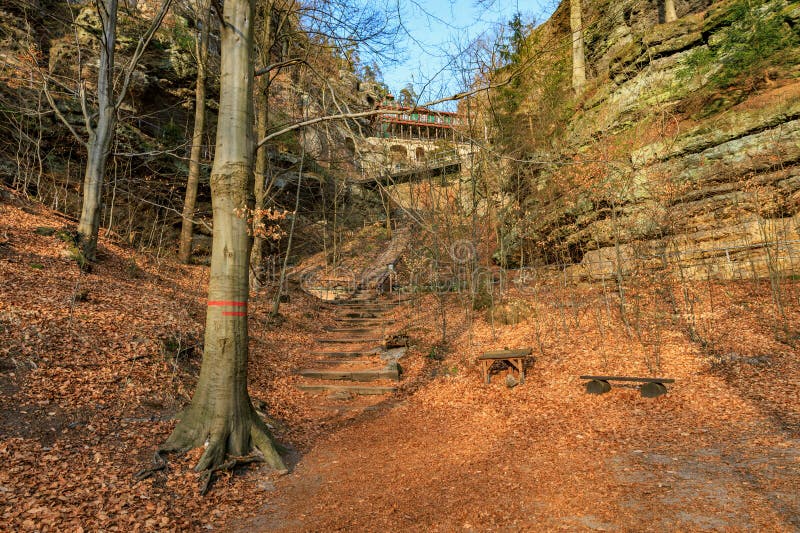 Scenic Forest Pathway with Stone Steps and Rustic Benches in Autumn ...