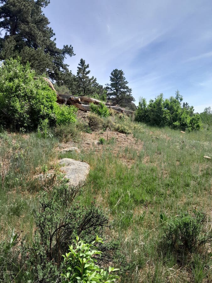 Area Cheyenee Stock Photos - Free & Royalty-Free Stock Photos from ...