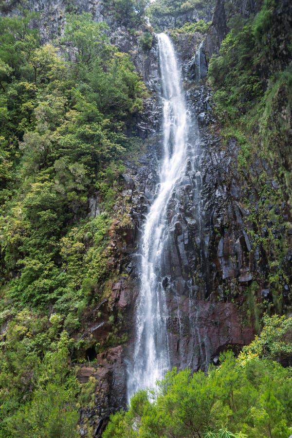 Scenic forest waterfall stock photo. Image of power - 202283068