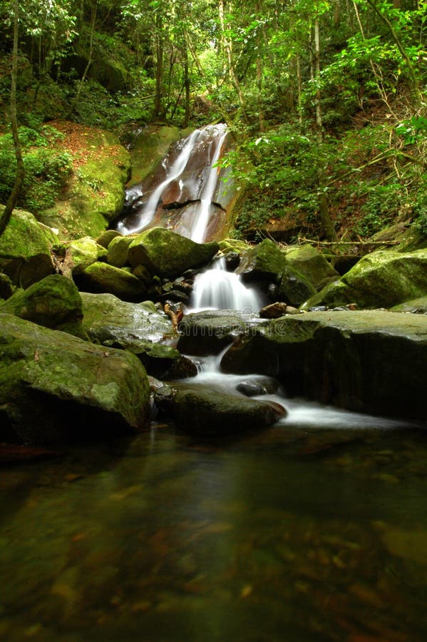 Scenic forest waterfall stock image. Image of river, poring - 3660747