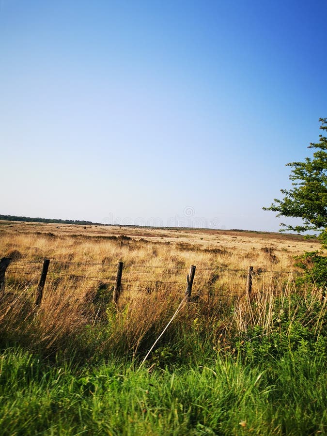 Grassland. Photo toned stock image. Image of meadow, scene - 70831099