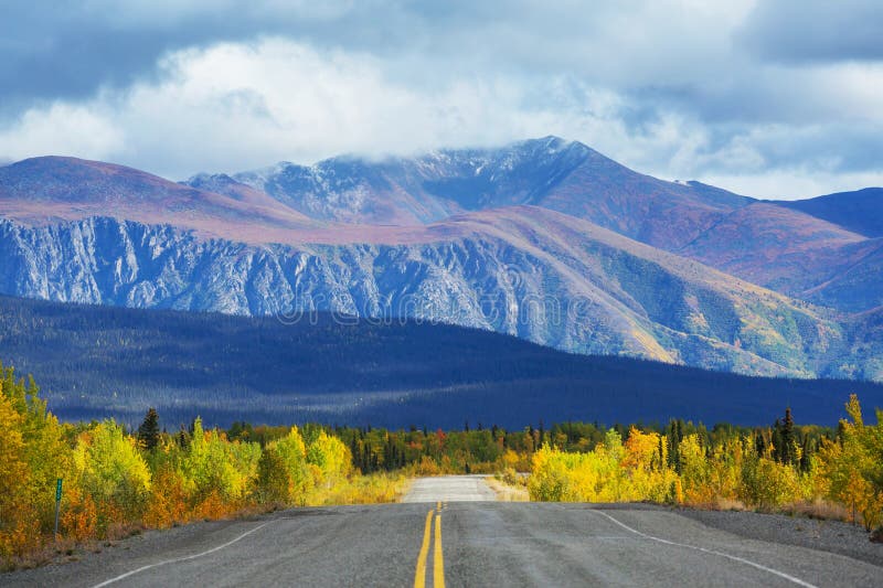 Road in Alaska stock photo. Image of drive, road, nature - 273240896