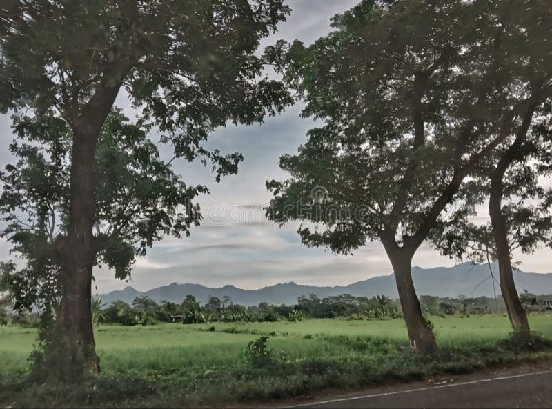 Scenic Highway: Journey Beneath the Clear Sky and Majestic Mountains ...