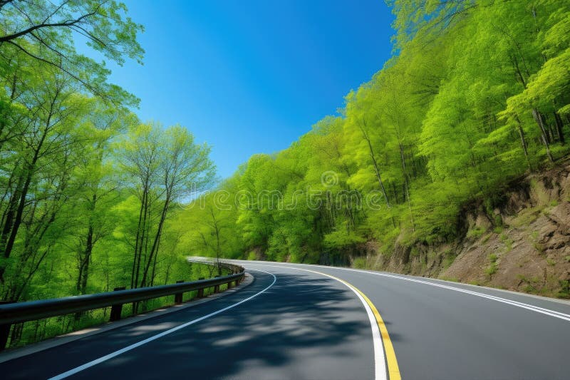 Scenic Highway Winding through Forest, with Trees and Clear Blue Sky ...