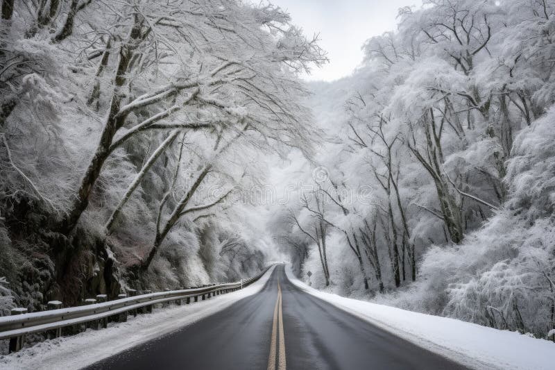 Scenic Highway in Winter, with Snow-covered Trees and Sparkling Snow ...