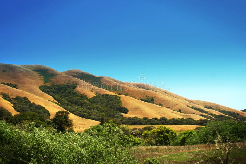 Scenic hillside landscape stock image. Image of rolling - 7205379