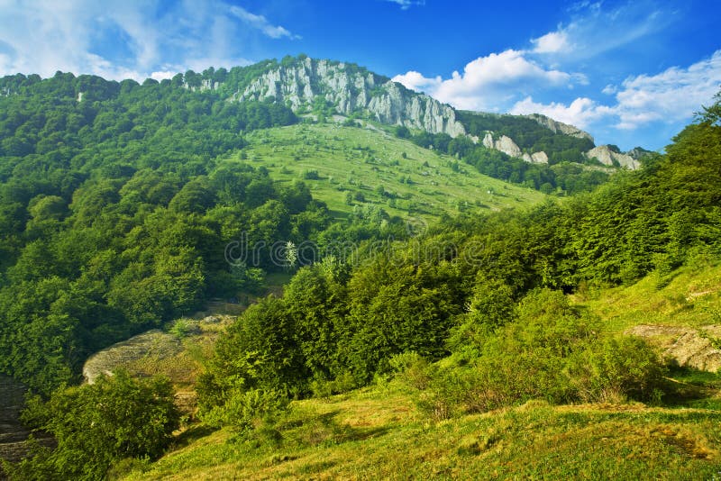 Scenic hillside landscape stock image. Image of rolling - 7205379