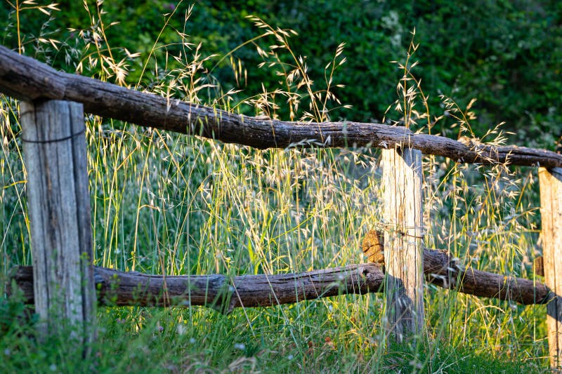 Scenic Image of a Wooden Fence in a Field of Grass. Stock Image - Image ...