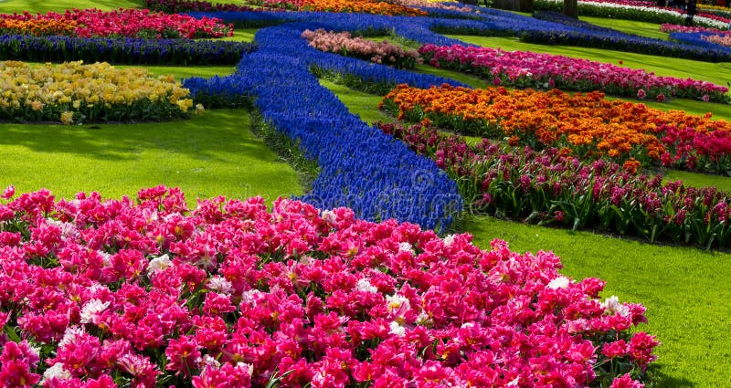 Scenic Keukenhof Gardens Panoramic View in the Netherlands during ...