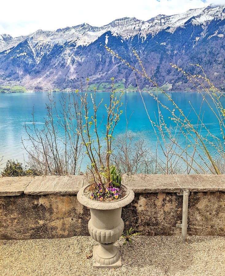 Scenic Lake in Interlaken stock image. Image of vacation - 320953831