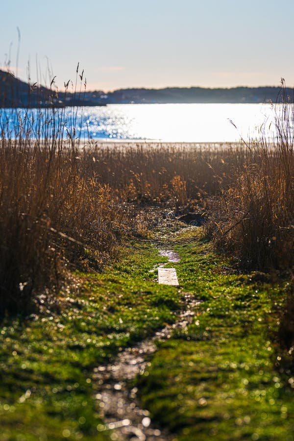 Scenic Lakeside Pathway Leading To Shimmering Water in Sunlight.. Stock ...