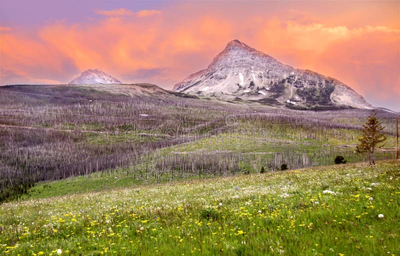 Spring on Casper Mountain Wyoming Stock Image - Image of impressive ...