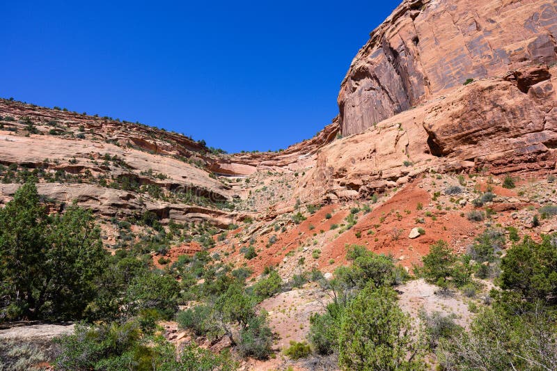 Scenic Landscape at Colorado National Monument with Red Cliffs Stock ...