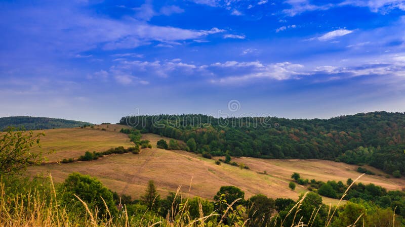 Scenic Landscape with Dry Meadows, Forest and Blue Cloudy Sky Stock ...