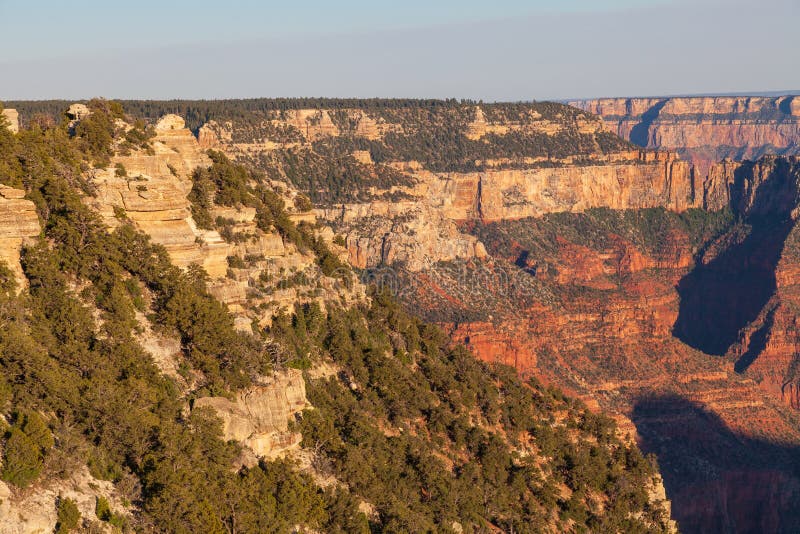 Grand Canyon North Rim Landscape Stock Photo - Image of destination ...