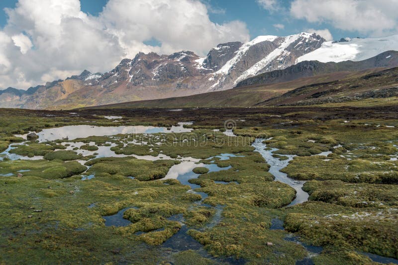 Peruvian Andes landscape stock photo. Image of marsh - 134294792