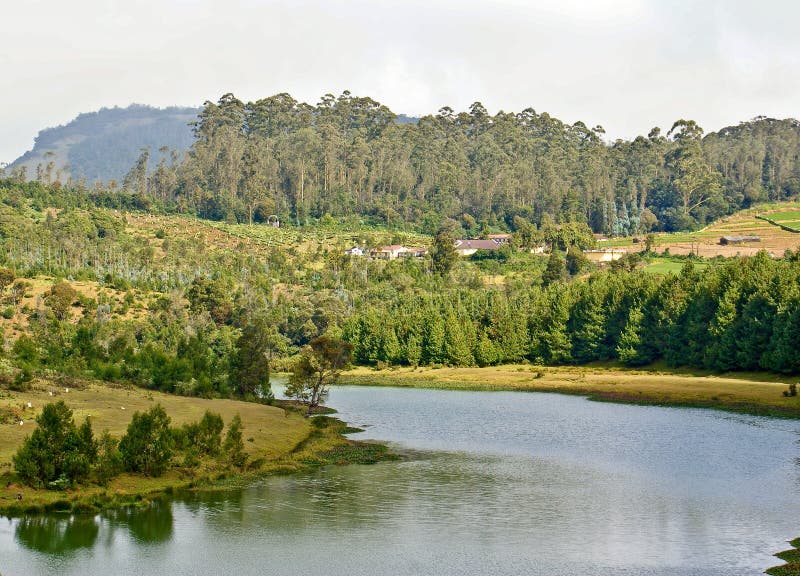 Scenic Landscape with Meandering River Stock Image - Image of pine ...