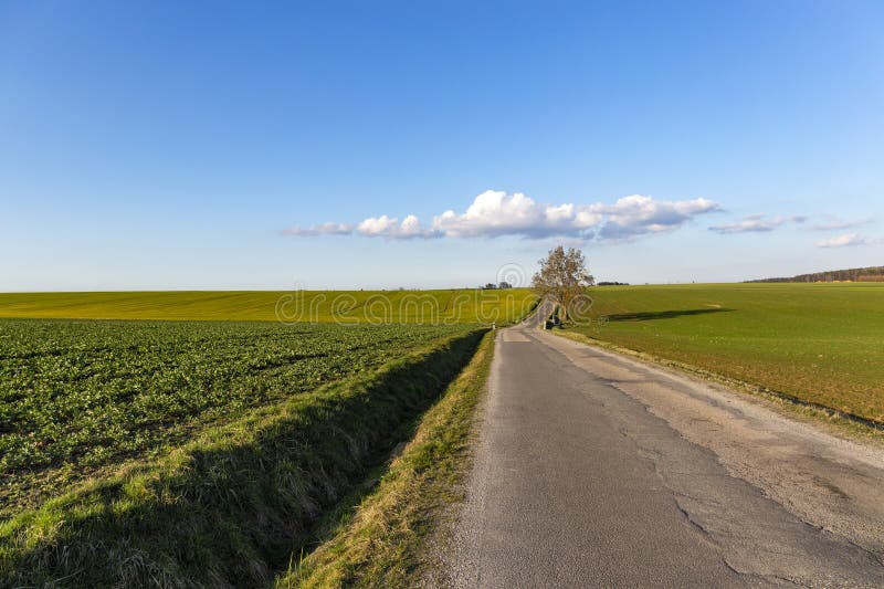 Scenic Landscape with Road and Fields Early Spring Stock Image - Image ...
