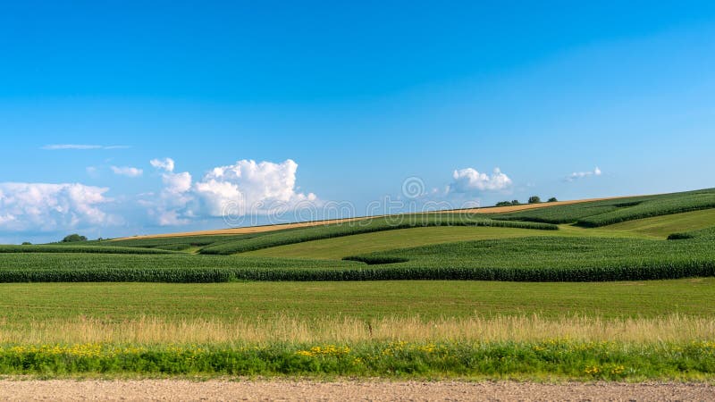 Scenic Landscape of Rolling Green Fields Under a Clear Blue Sky with ...