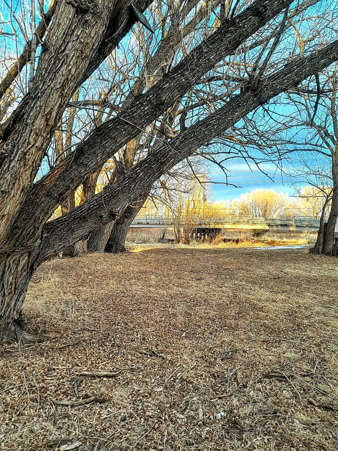 Scenic Landscape of a Rusty Bridge beside a Tree Filled Path Stock ...