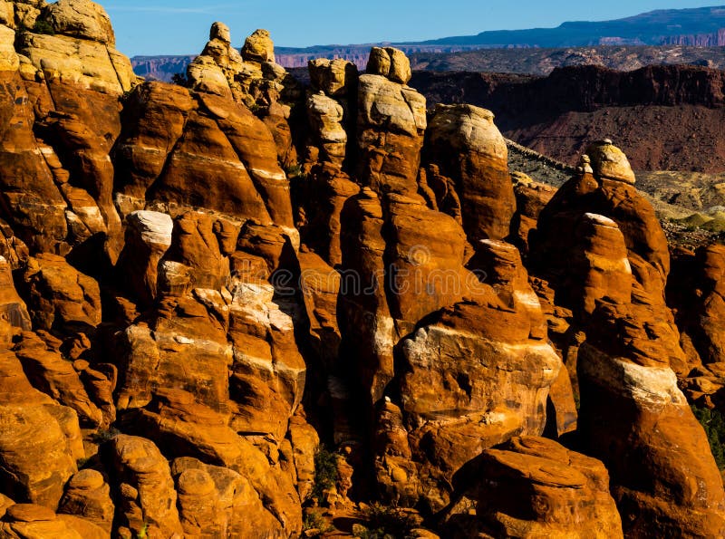 Scenic Landscape Featuring a Cluster of Trees Amidst a Vast Wilderness ...