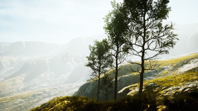 Scenic Landscape with Steep Cliffs and Trees during a Sunny Day Stock ...
